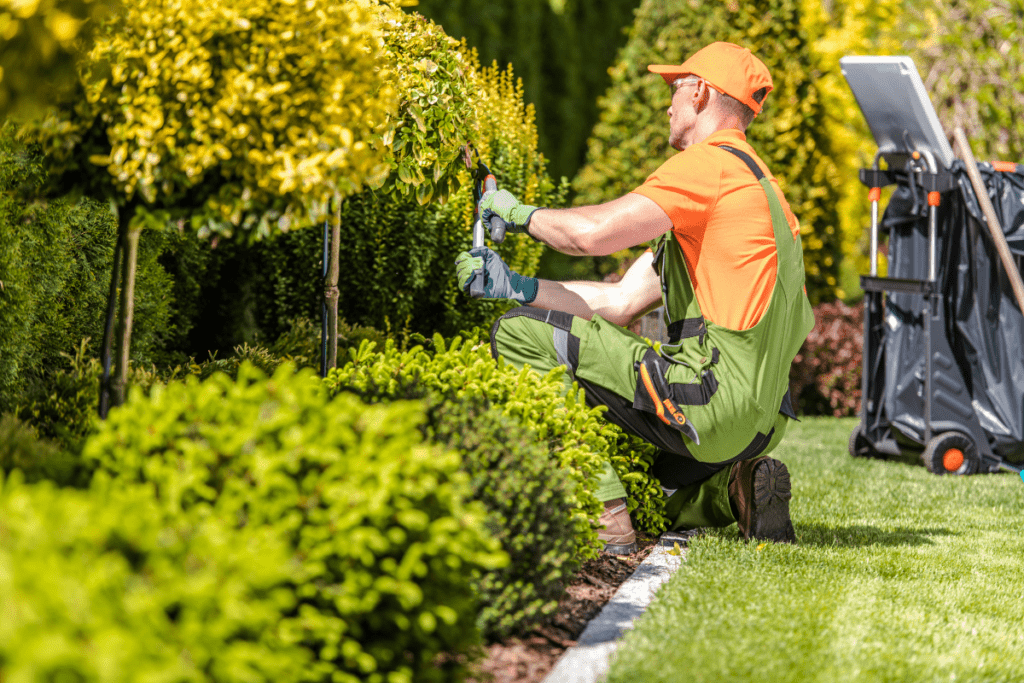 5 Common HOA Landscaping Guidelines - Kuester Management